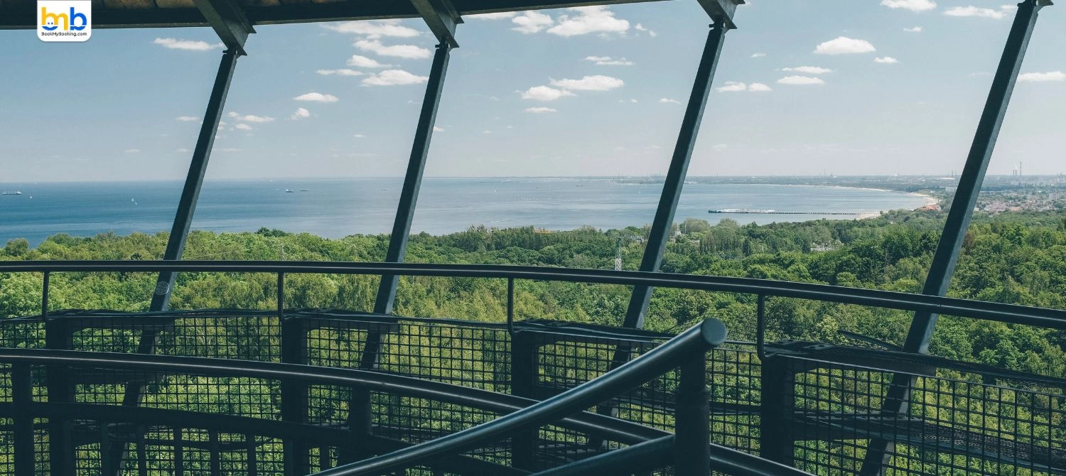 Magnicity announces global expansion plans with New Observation Projects